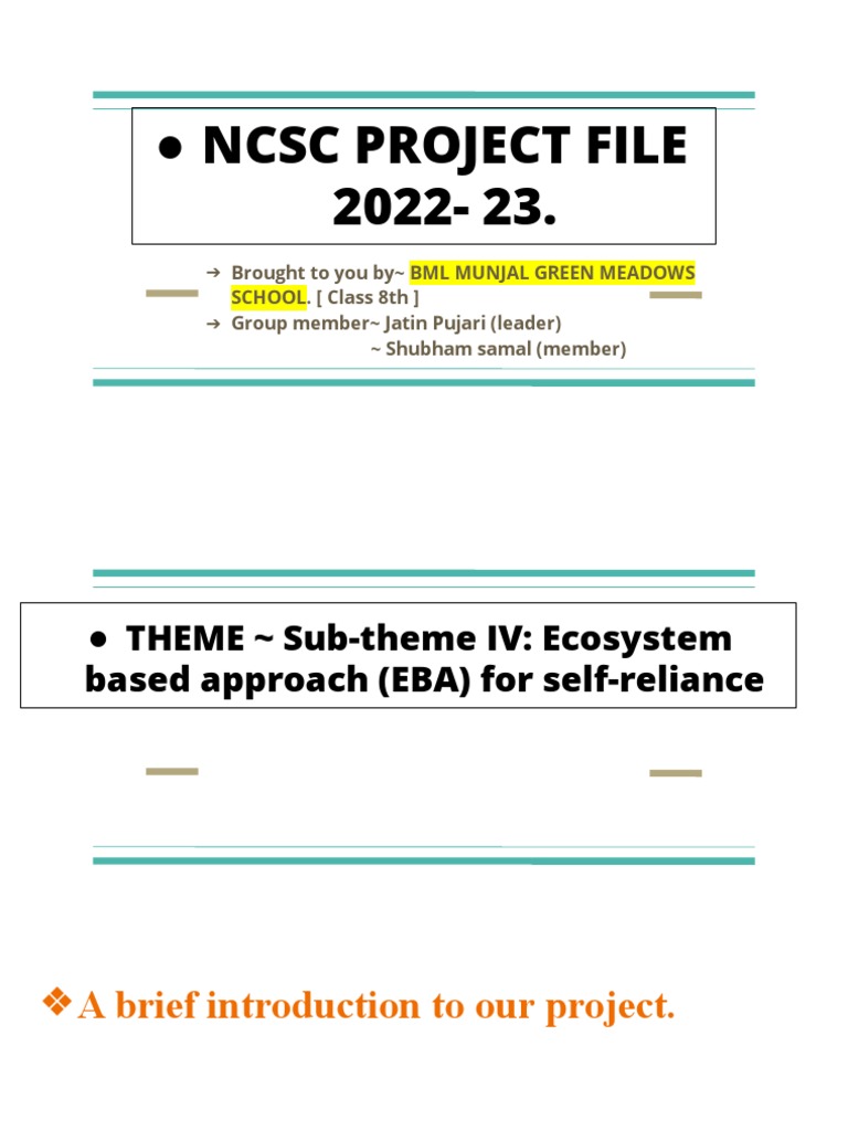 NCSC Project File 2022 - 23. | PDF