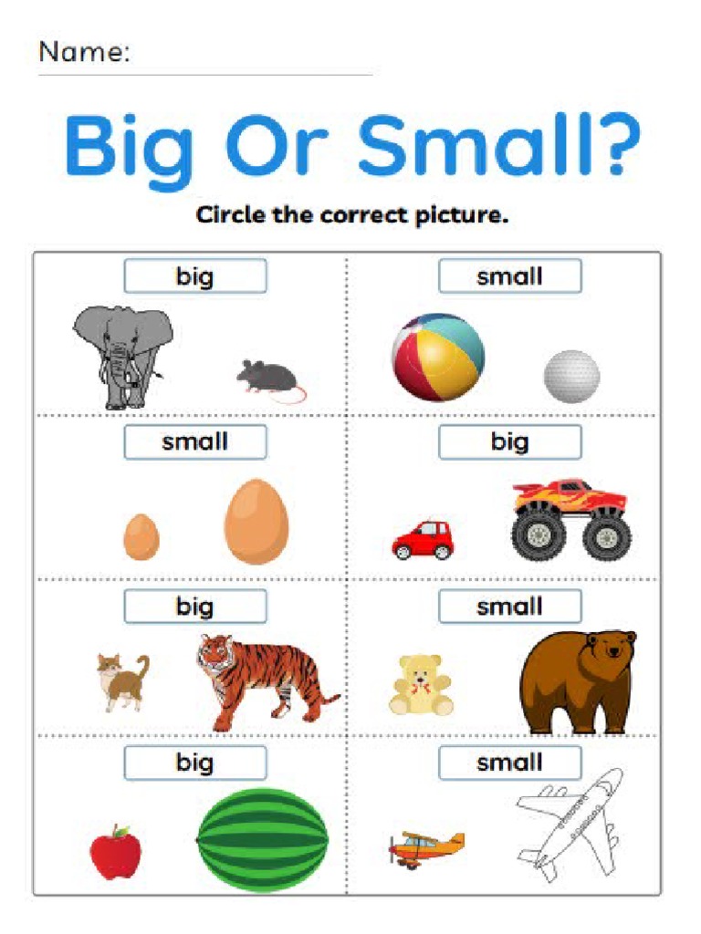Big or Small Activity | PDF