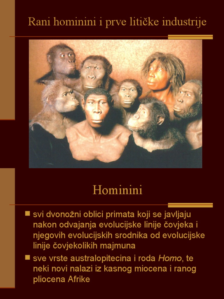 Rani Hominini I Prva Liticka Industrija 2022-23 Paleolitik FFZG | PDF