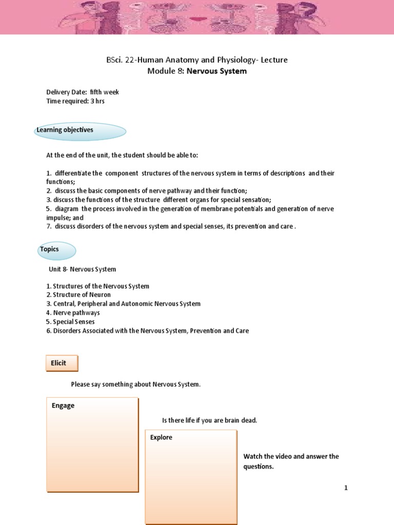 Anatomy Lec Module 8 | PDF | Nervous System | Nerve