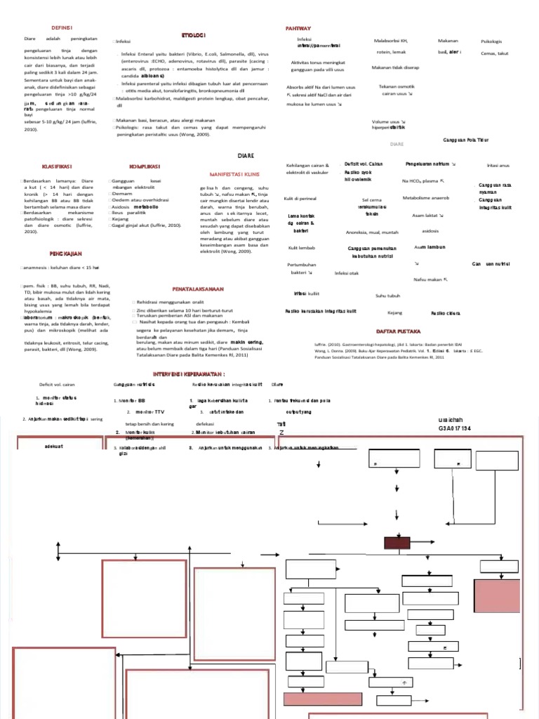 PDF Mind Map Diare Compress | PDF