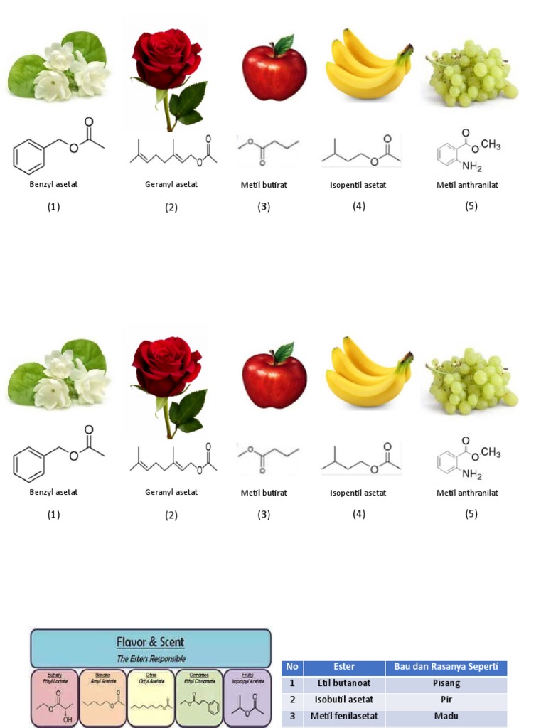 Ester | PDF