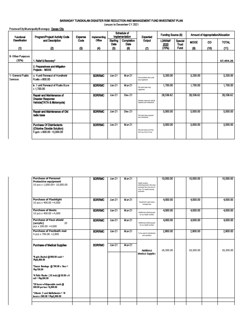 BDRRMC Investment Plan 2021 | PDF | Emergency Management | Hygiene