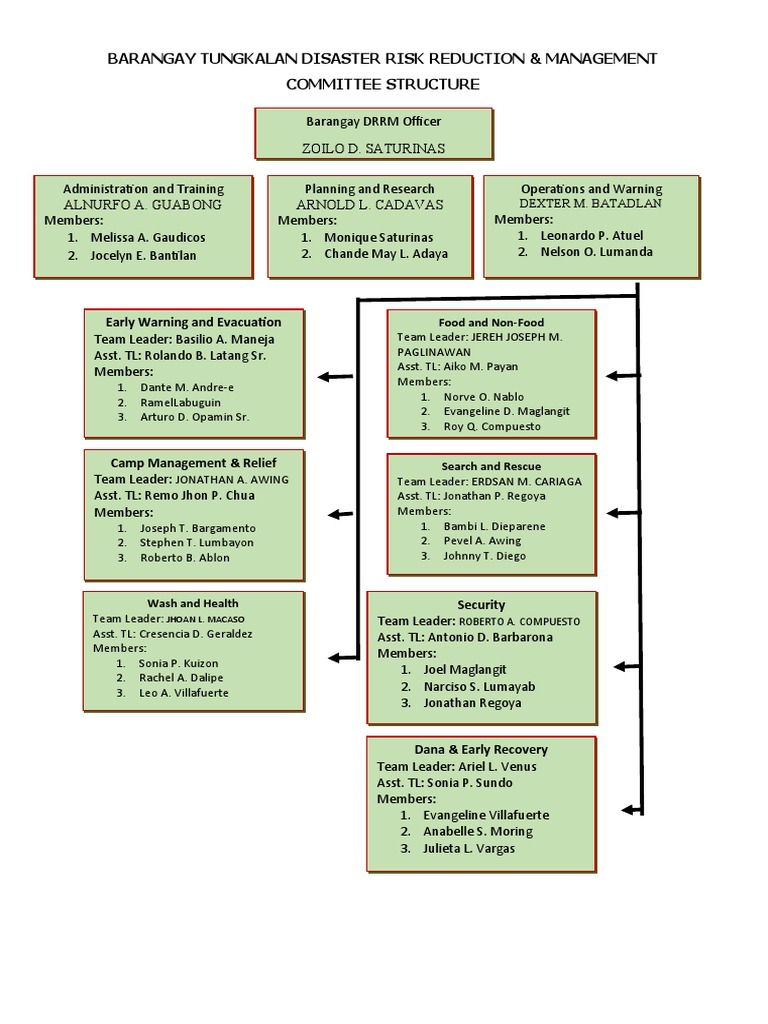 BDRRMC Structure | PDF