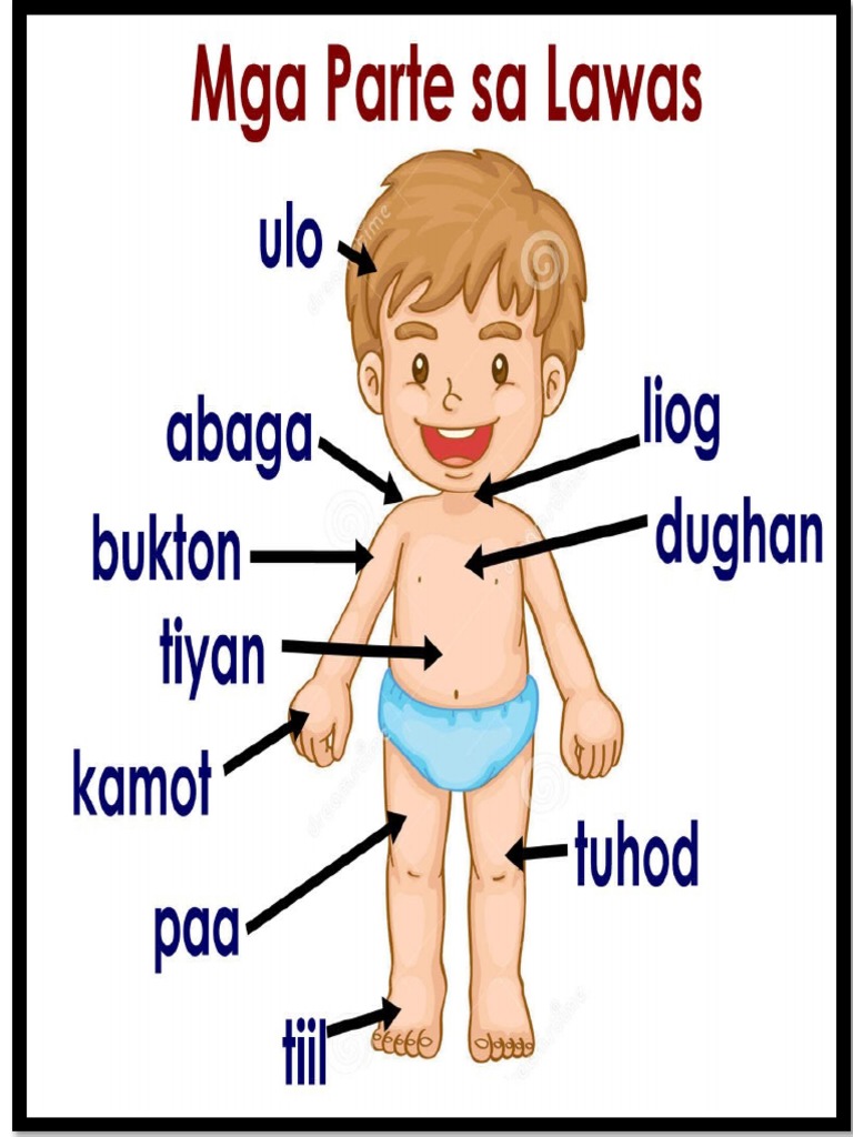 Week 6 Parte Sa Lawas | PDF