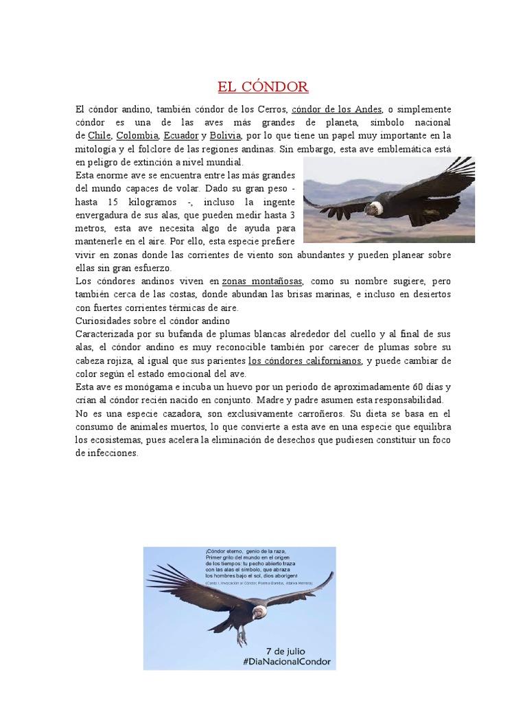 El Condor | PDF