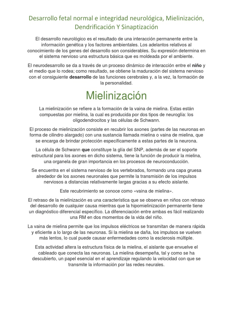 Mielinización | PDF | Mielina | Axon