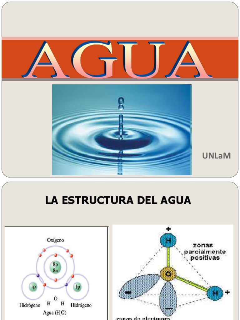 2da Clase Agua | PDF | Propiedades del agua | Polaridad química