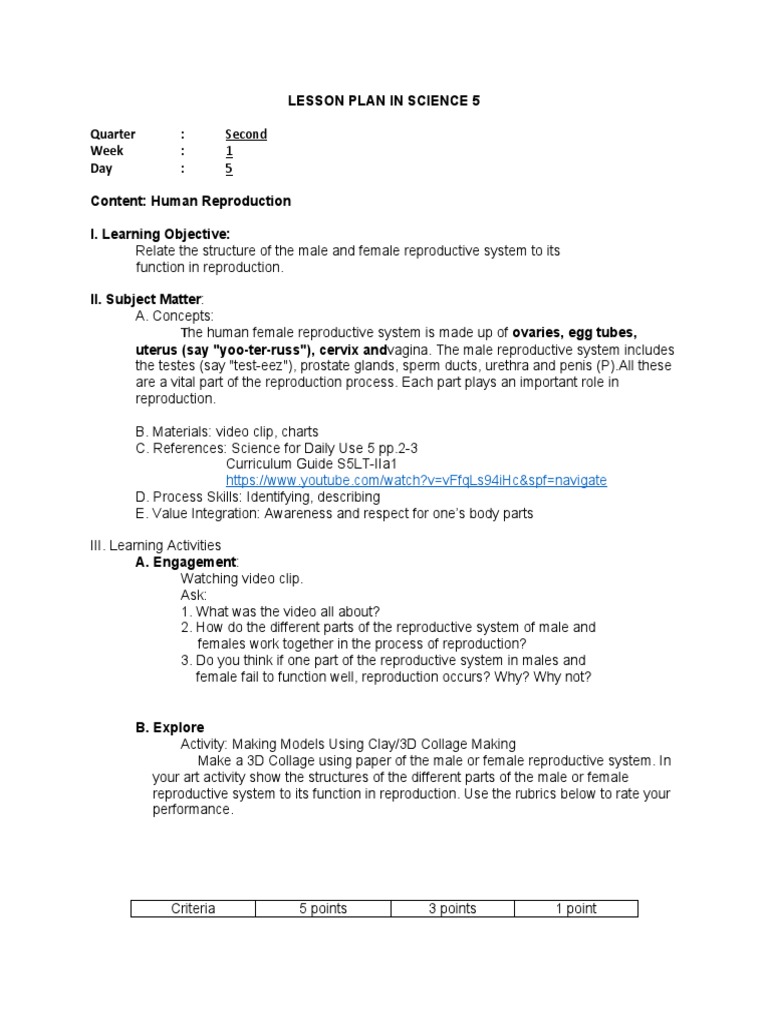 Human Reproduction Lesson Plan for Grade 5 | PDF | Reproductive System ...