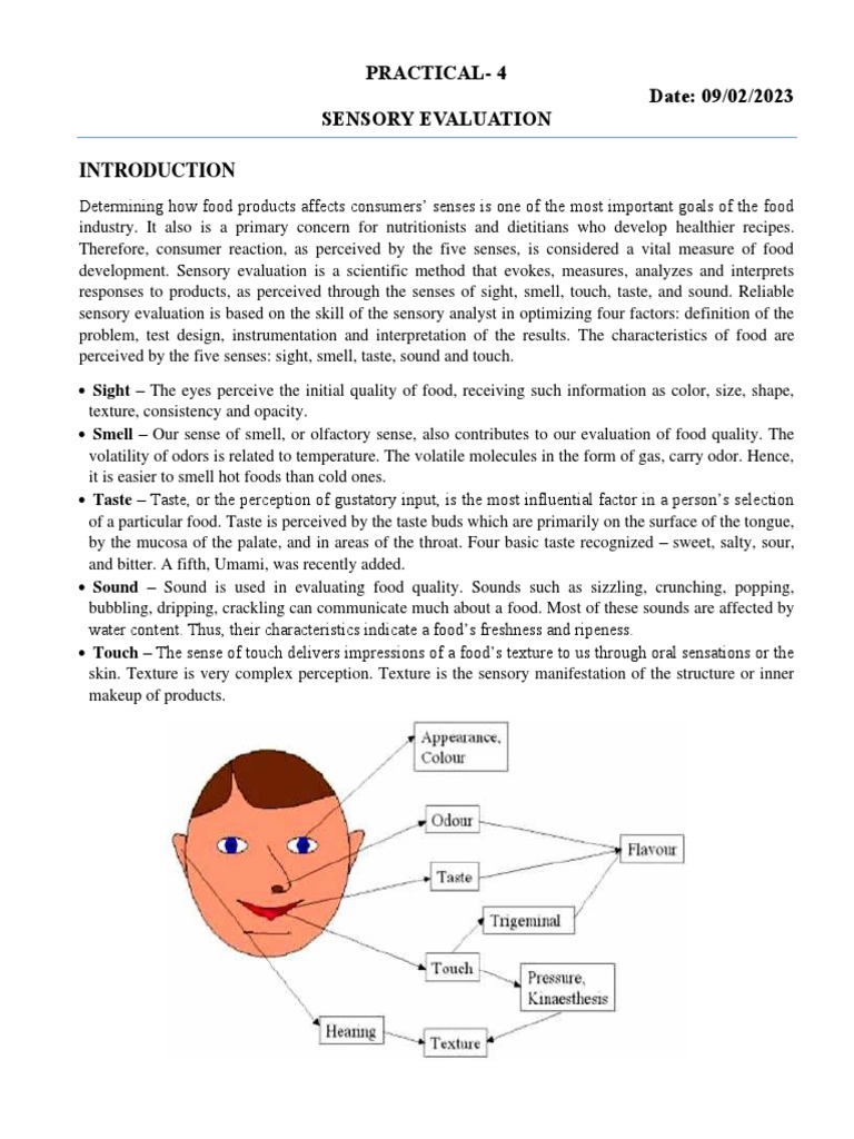 Sensory Evaluation 1 | PDF | Taste | Perception