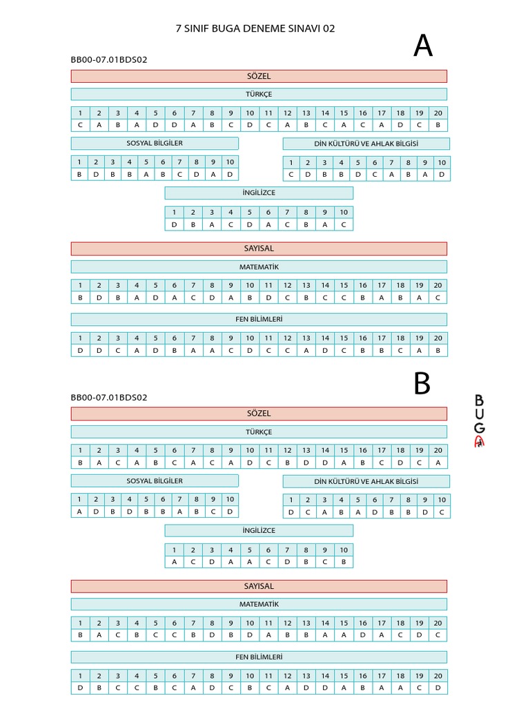 7 Buga Deneme Sinavi 02 Ca | PDF