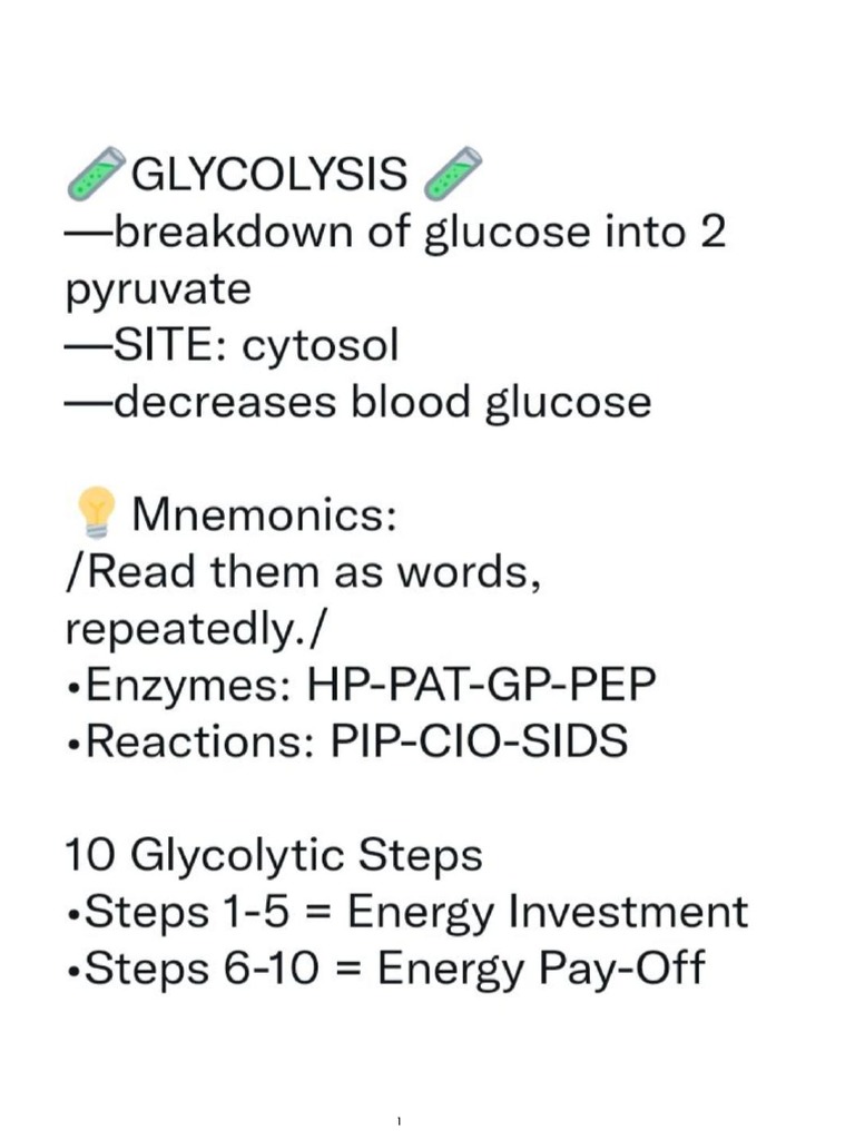 metabolic cycle | PDF