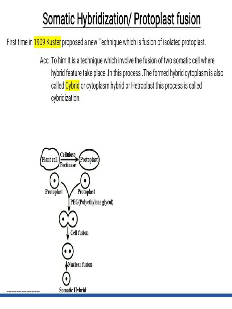 Somatic Hybridization | PDF