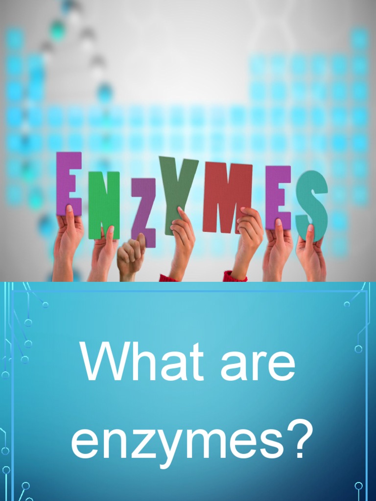 Enzymes Notes PPT Pre AP | Download Free PDF | Enzyme | Enzyme Inhibitor