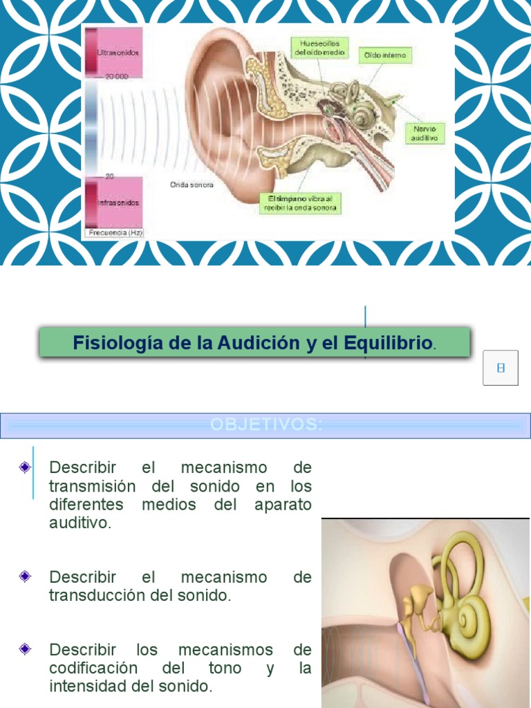 Fisiología de La Audición y El Equilibrio. | PDF | Escuchando | Sonido