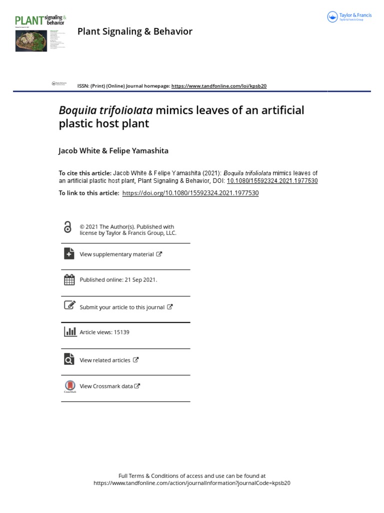 Boquila Trifoliolata Mimics Leaves of An Artificial Plastic Host Plant ...