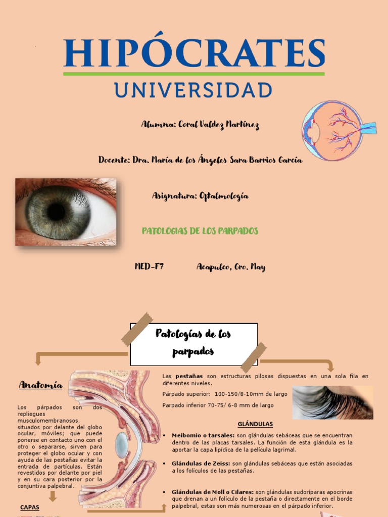 Patologias Del Parpado | PDF | Medicina CLINICA | Enfermedades y trastornos