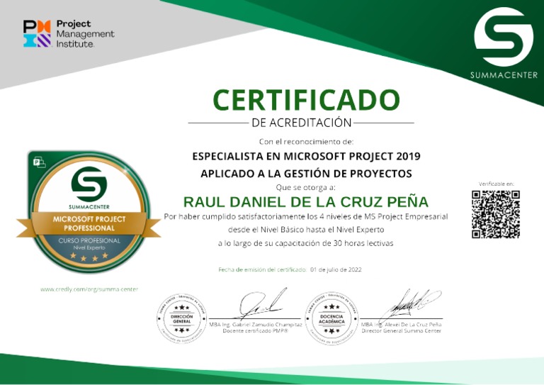 Certificado MS Project Profesional - Nivel Experto - Platinum (Summa ...