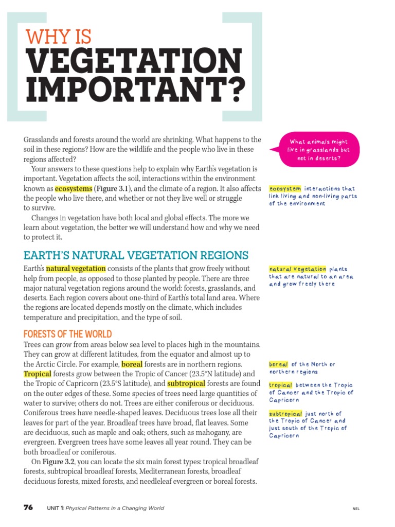 Natural Vegetation Section 1 | PDF | Forests | Grassland