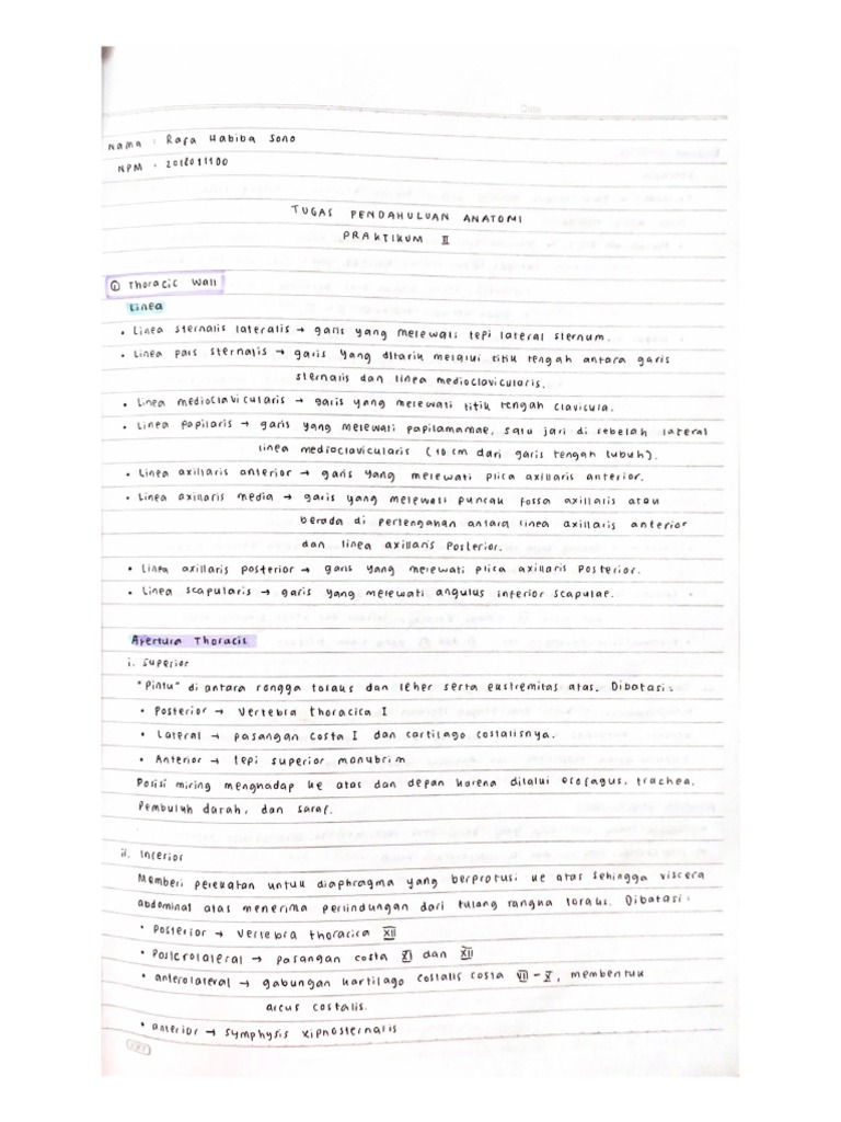 Rafa Habiba Sono - Sistem Sirkulasi | PDF