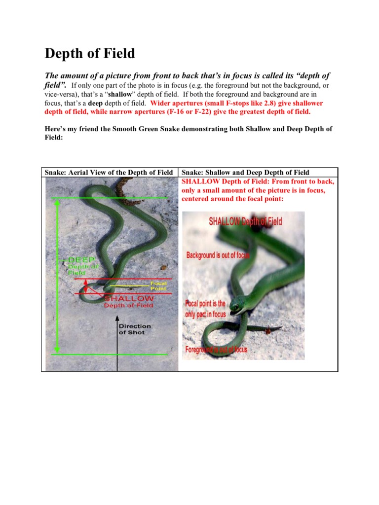 Depth of Field | PDF | Atomic | Applied And Interdisciplinary Physics