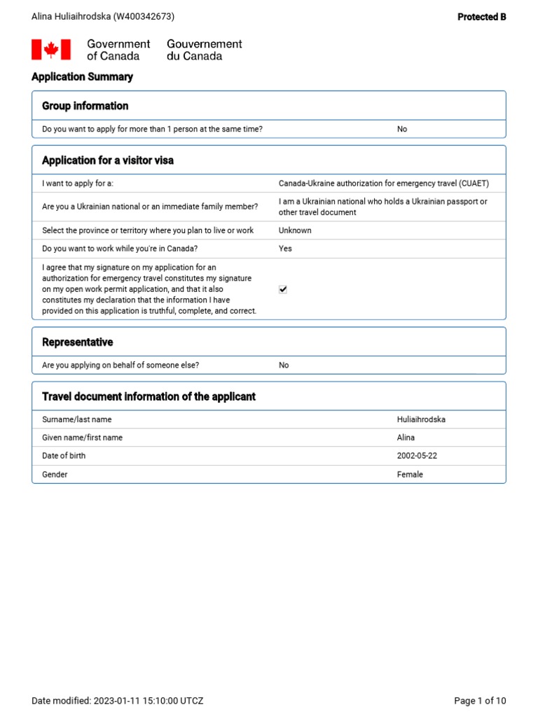 Application Summary Group Information | PDF | Passport | Identity Document