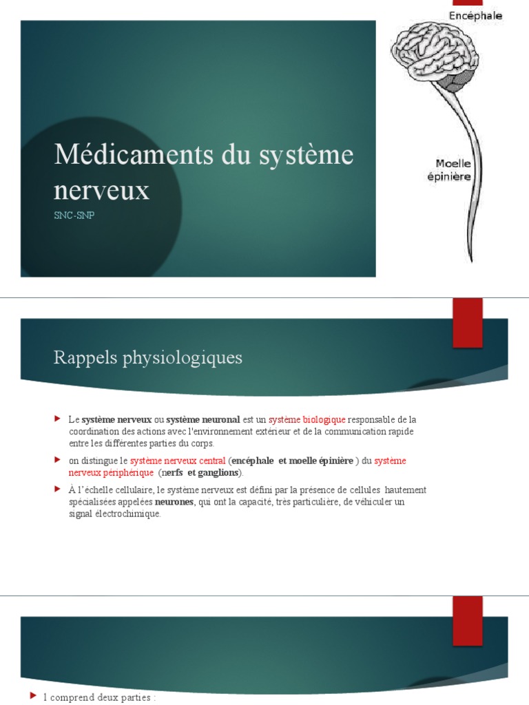 Médicaments Du Système Nerveux | PDF | Système nerveux autonome ...