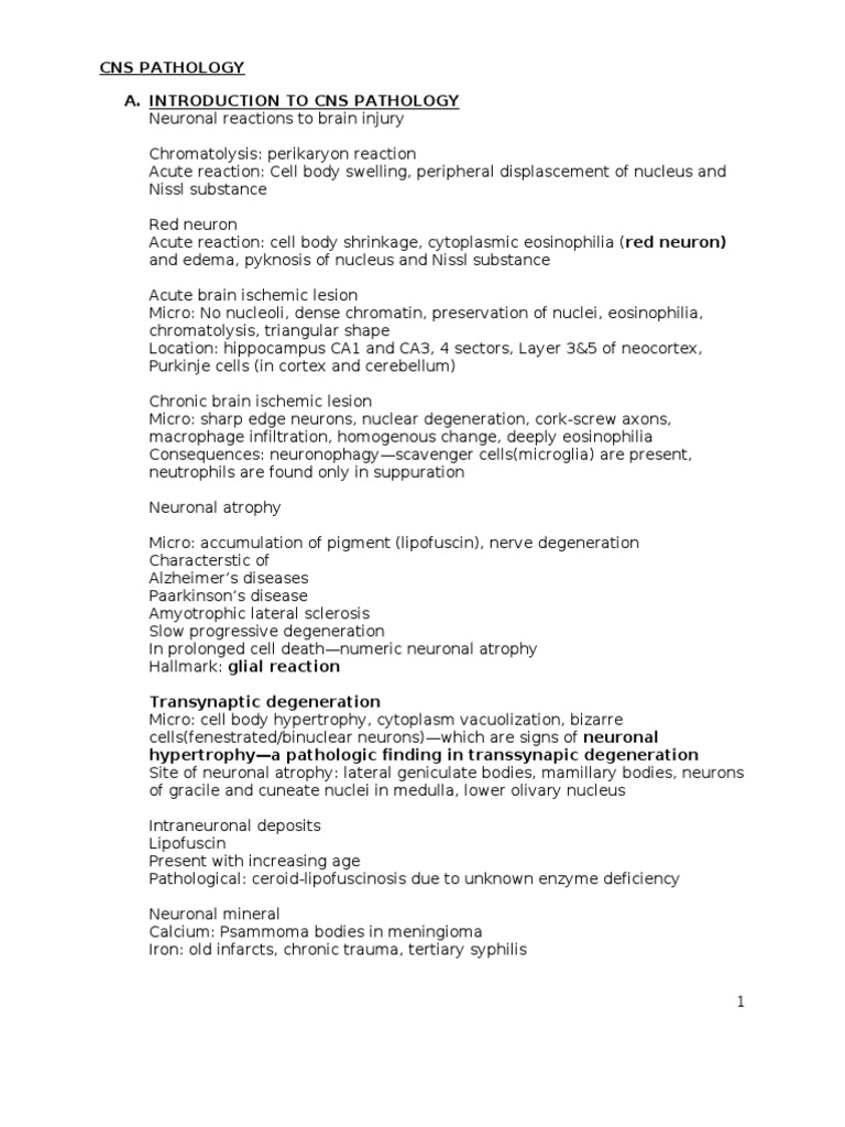 Cns Pathology | PDF | Brain Tumor | Cerebrospinal Fluid