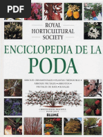 14 Plantas Medicinales de Tabasco | PDF
