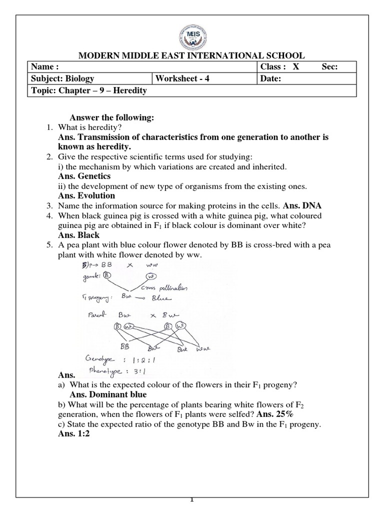 Modern Middle East International School Biology Worksheet | PDF ...