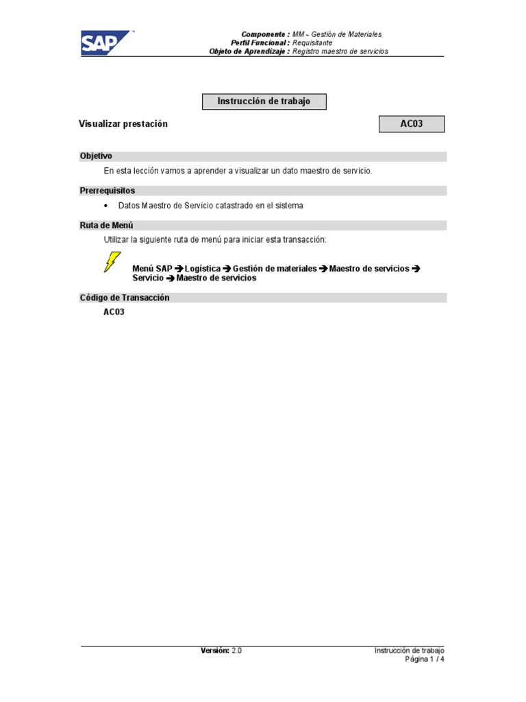 Visualización de Servicios en SAP AC03 | PDF | Informática | Software