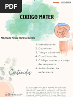 Código Mater | PDF | Muerte materna | Especialidades Medicas