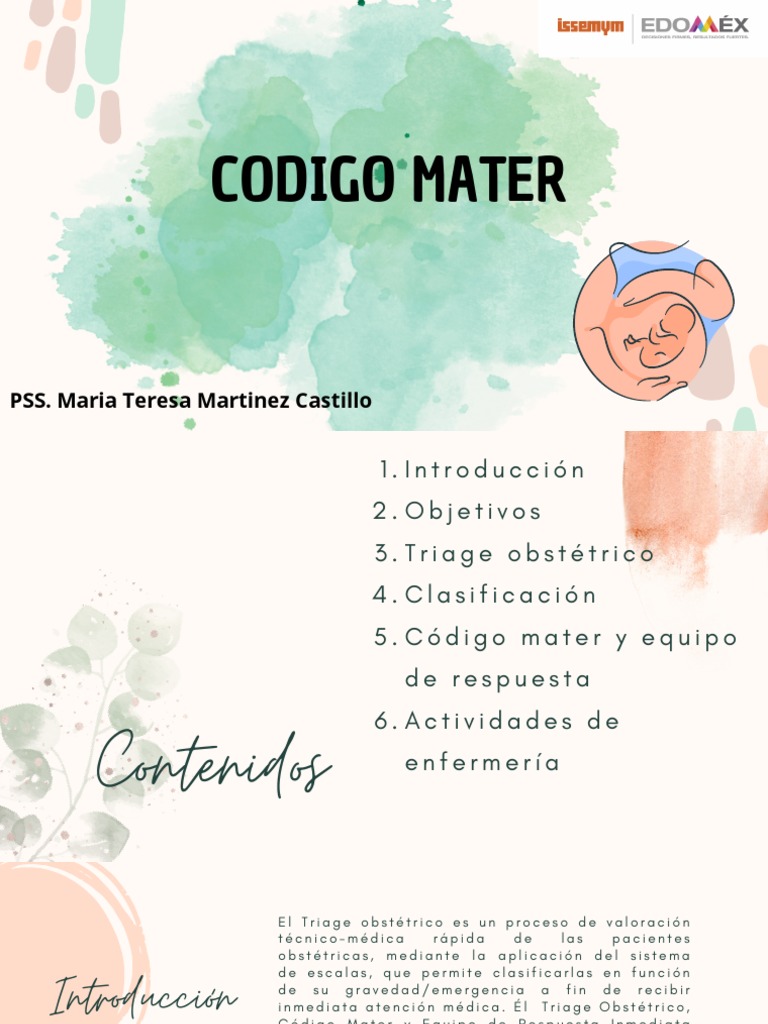 Código Mater y Triage Obstétrico | PDF | Muerte materna | Causas de la ...