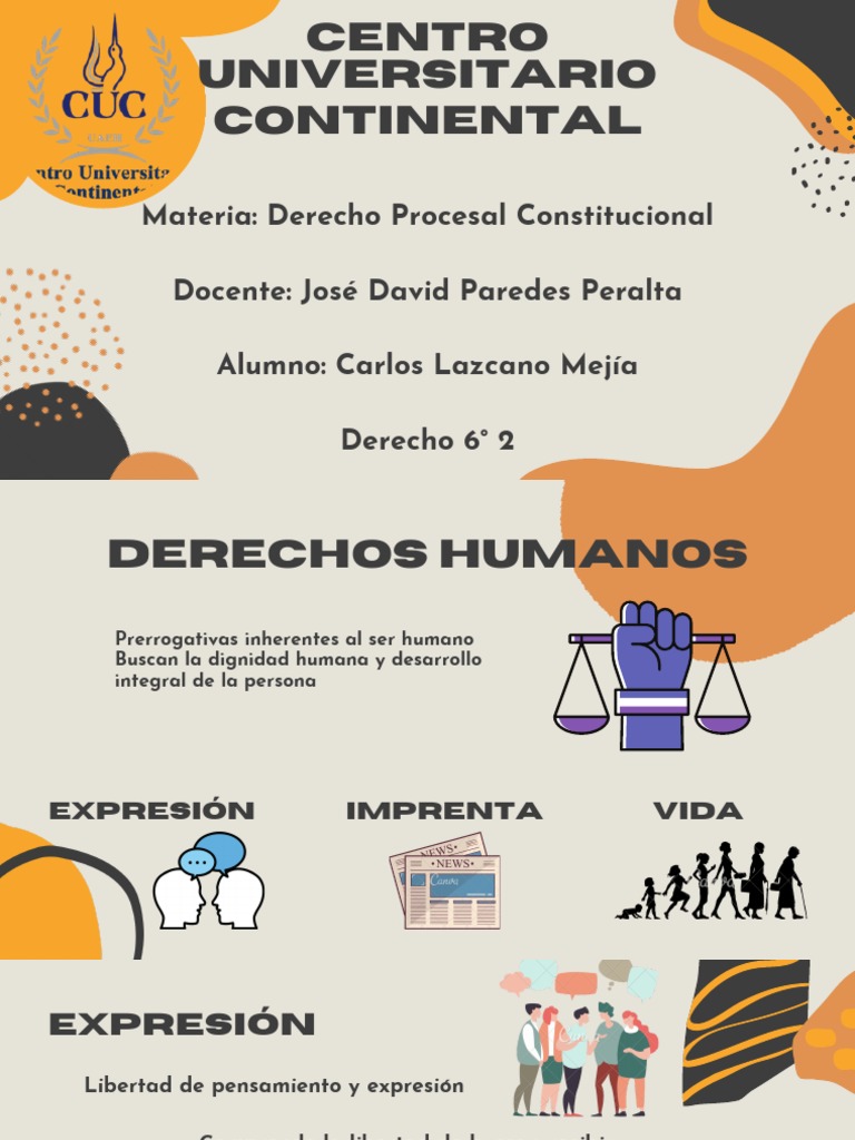 Derecho Procesal Constitucional | PDF