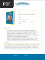 NBI Morton. Anatomía Macroscópica | PDF | Abdomen | Anatomía