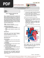 100 Getting To Know You (PS Questions) | PDF