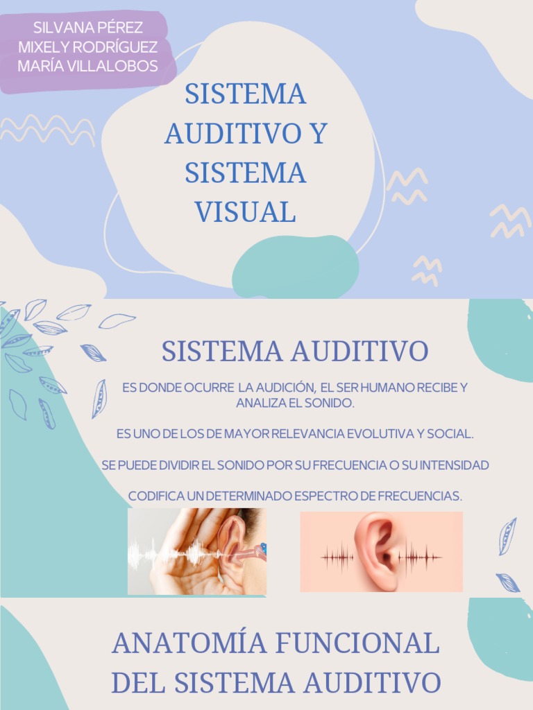 Anatomía del Sistema Auditivo y Visual | PDF | Oído | Percepción visual