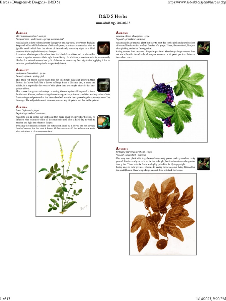 Herbs - D&D 5e | PDF | Trees | Plants