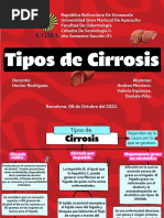 Anatomía de la Cápsula de Glisson | PDF | Tejido adiposo | Riñón