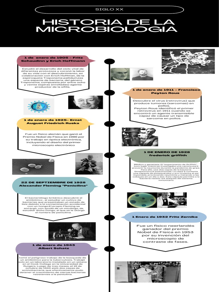Linea de tiempo historia de la microbiología | PDF | Medicina CLINICA | Ciencias de la vida