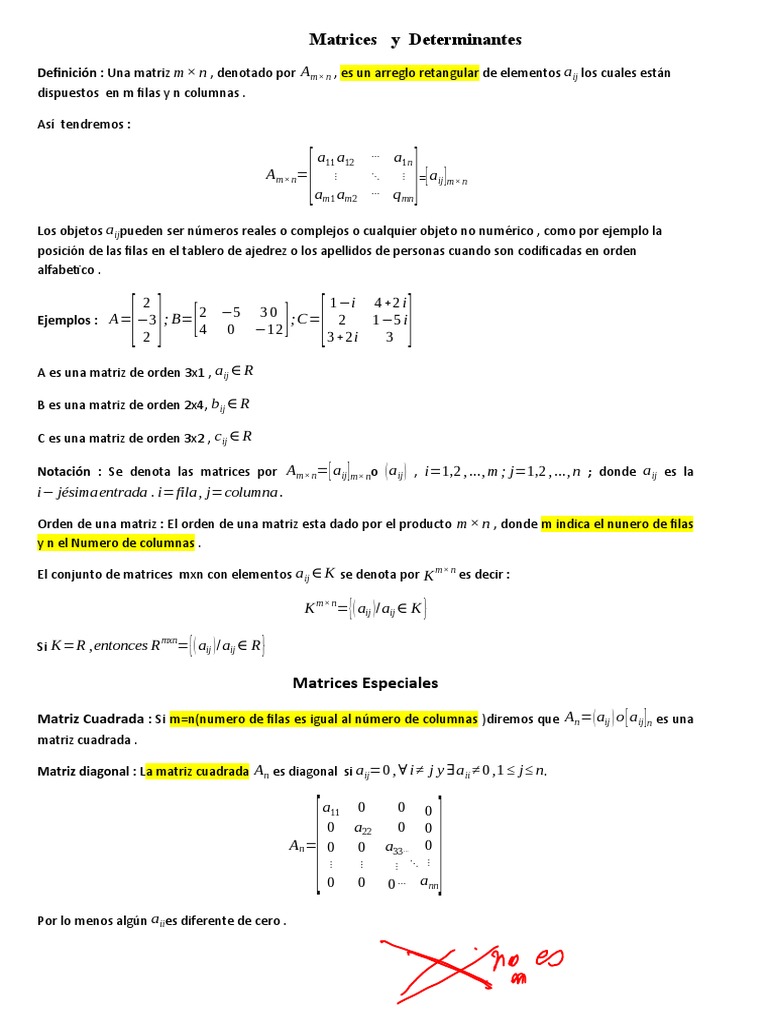 Matrices y Determinantes | PDF | Matriz (Matemáticas) | Determinante