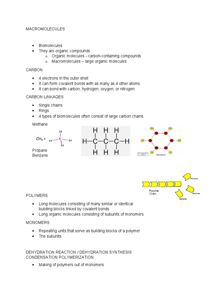 Understanding Macromolecules and Biomolecules | PDF | Wellness ...