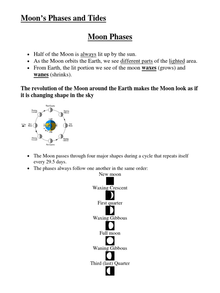 Moons Phases and Tides Notes | Download Free PDF | Tide | Moon