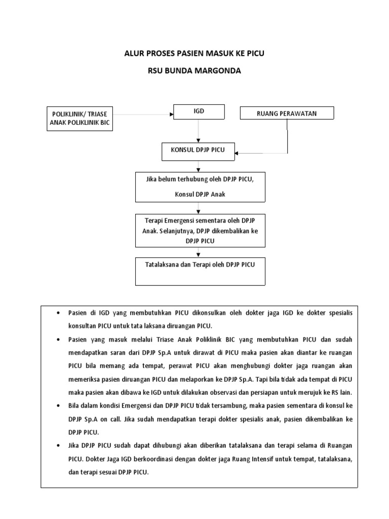 Alur Proses Pasien Masuk Ke Picu | PDF