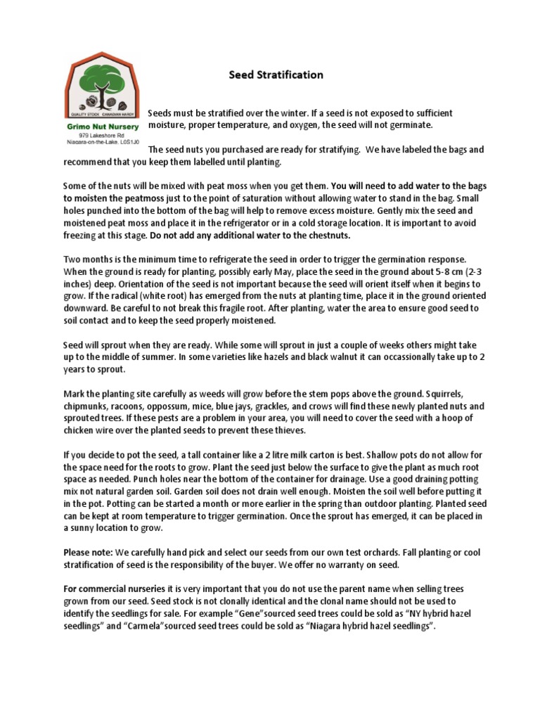 Seed Stratification | PDF | Horticulture | Agriculture