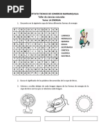 Sopa de Letras de Los Ecosistemas | PDF