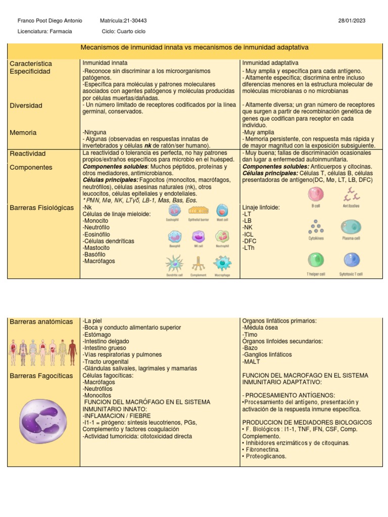 ACTIVIDAD 1. Tipos de Inmunidad | PDF | Sistema inmune | Sistema inmune innato