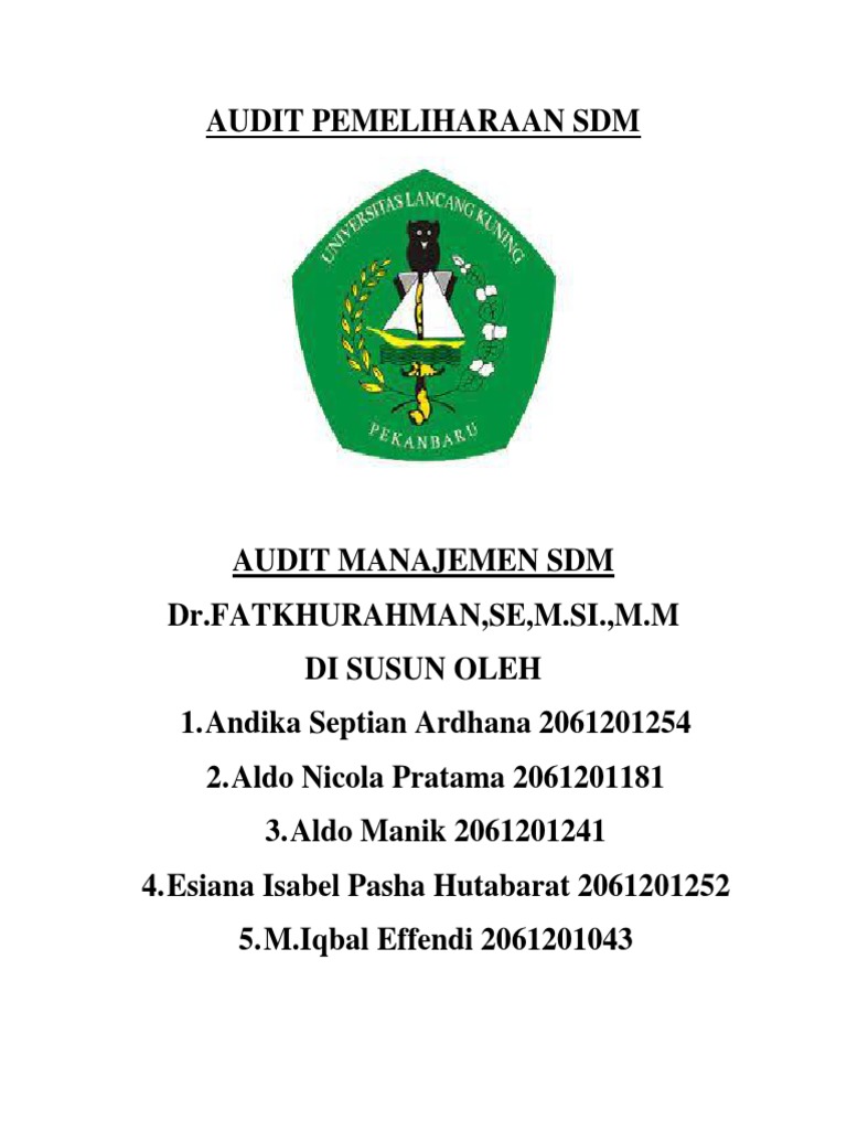 Audit Pemeliharaan SDM Kelompok 2 | PDF