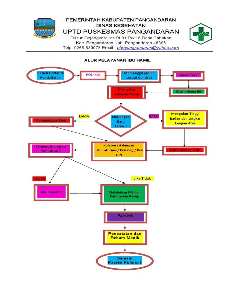 Alur Pelayanan Ibu Hamil | PDF