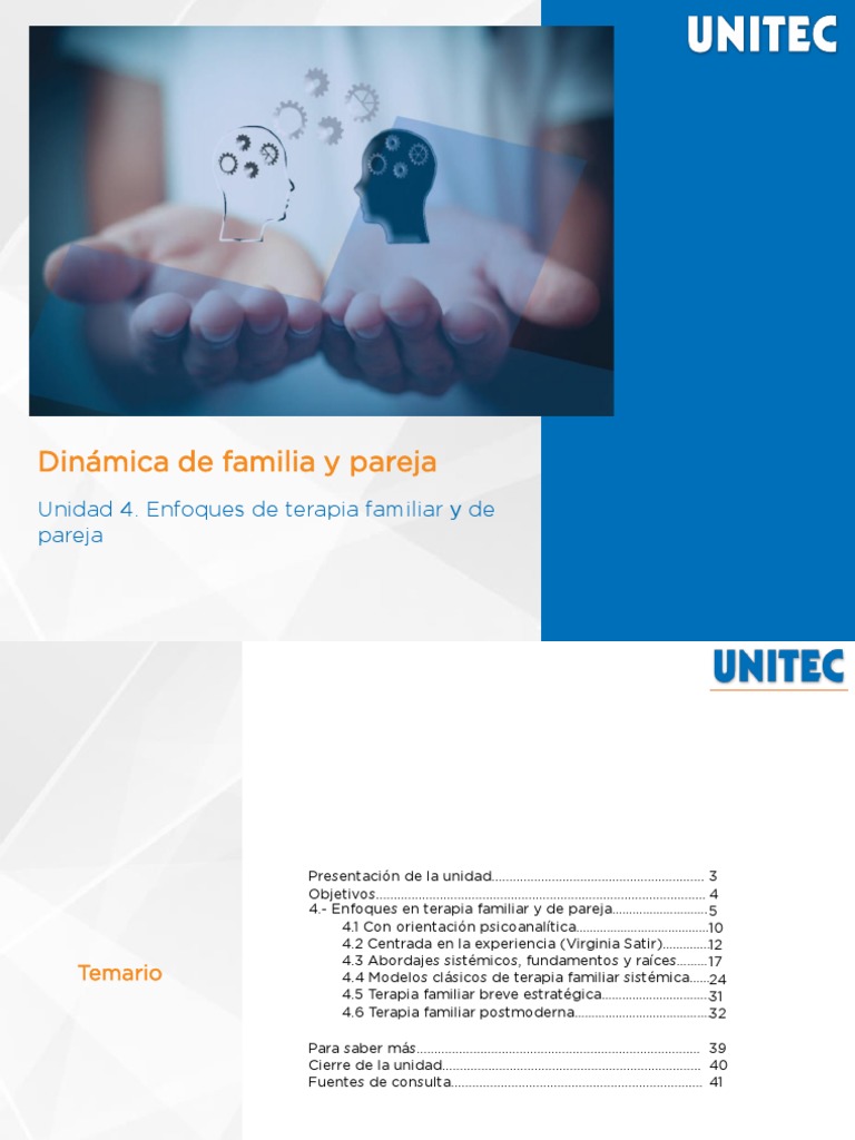 Unidad 4. Enfoques de Terapia Familiar y de Pareja | PDF | Psicoterapia | Psicoanálisis